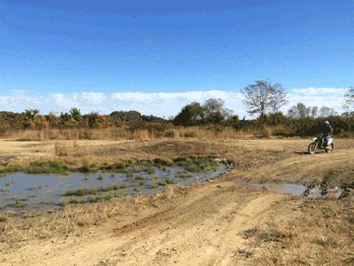 搞笑gif动态图：洗了个漂亮的澡 - 360娱乐，你开心就好